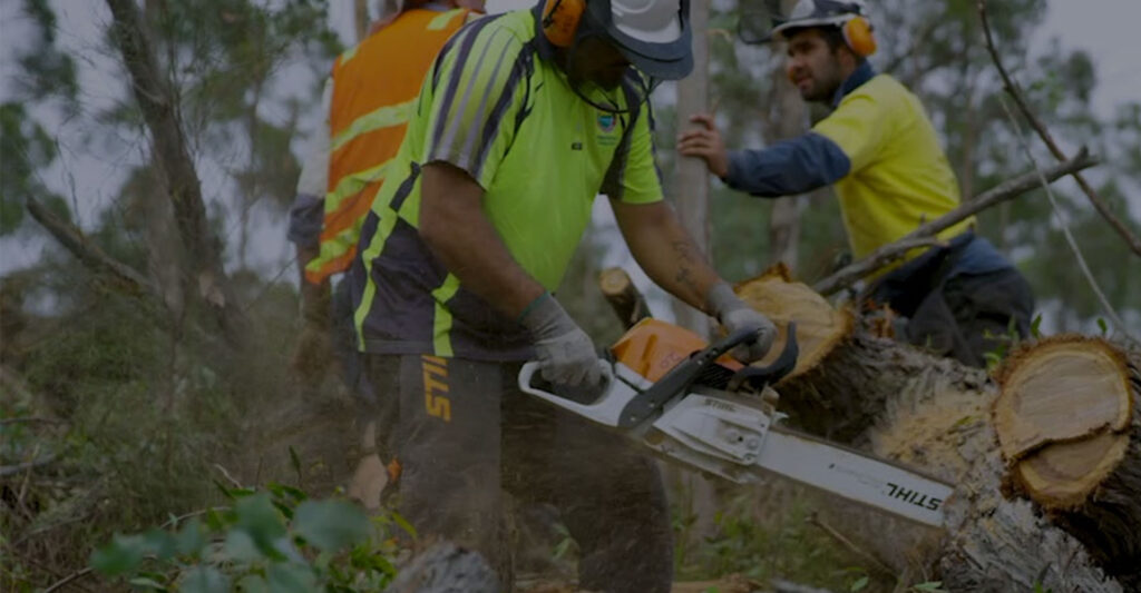 Tree Felling Hobart | Tree Removal Service | Total Tree Management